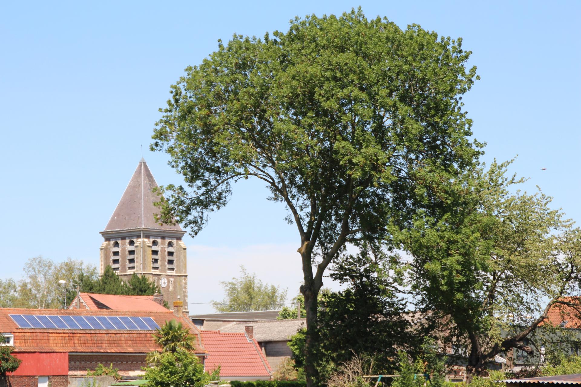 Nouveaux arrivants | Ville de Fretin